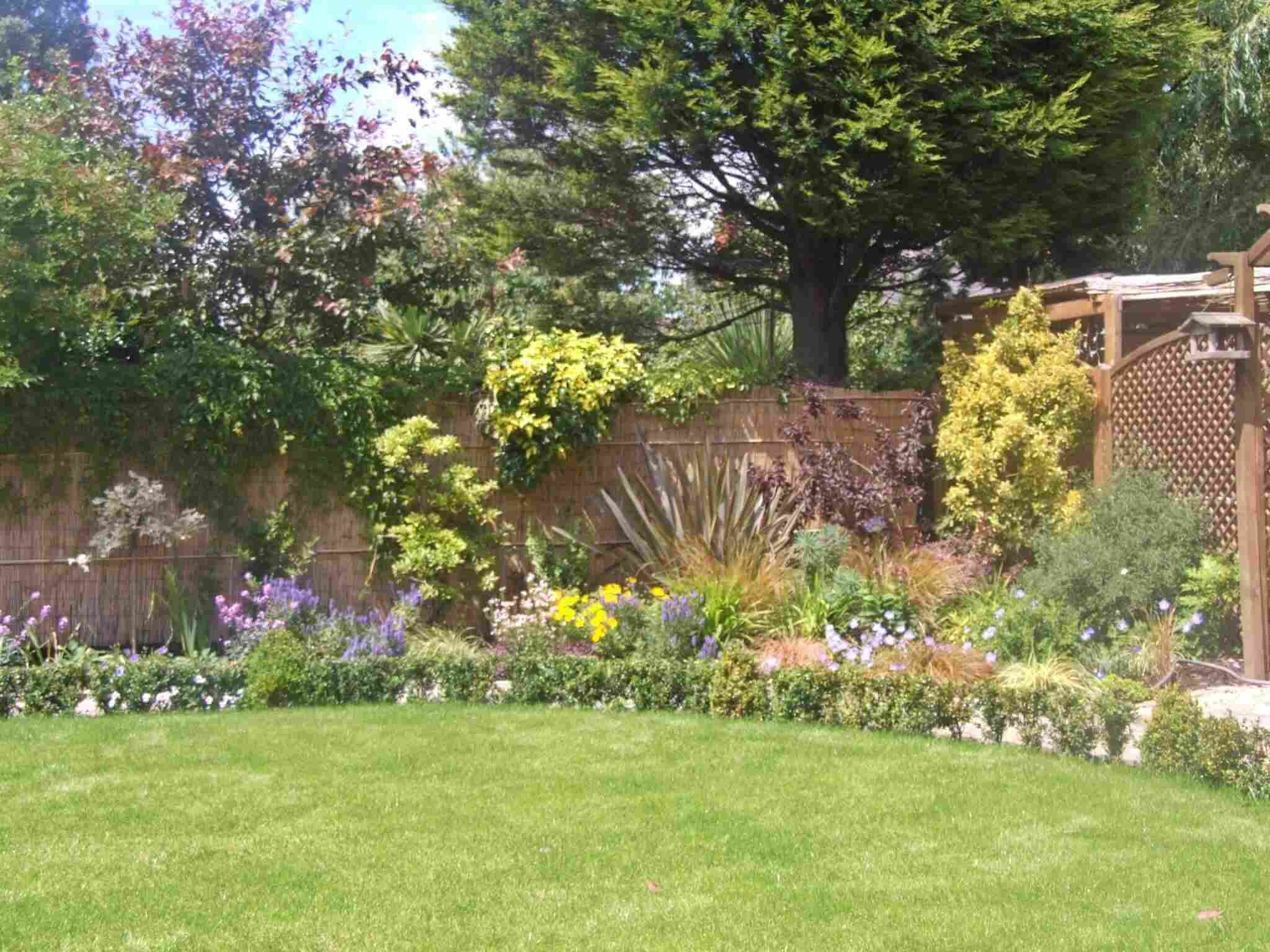 Garden Aftercare Liverpool by Abel Landscapes plants