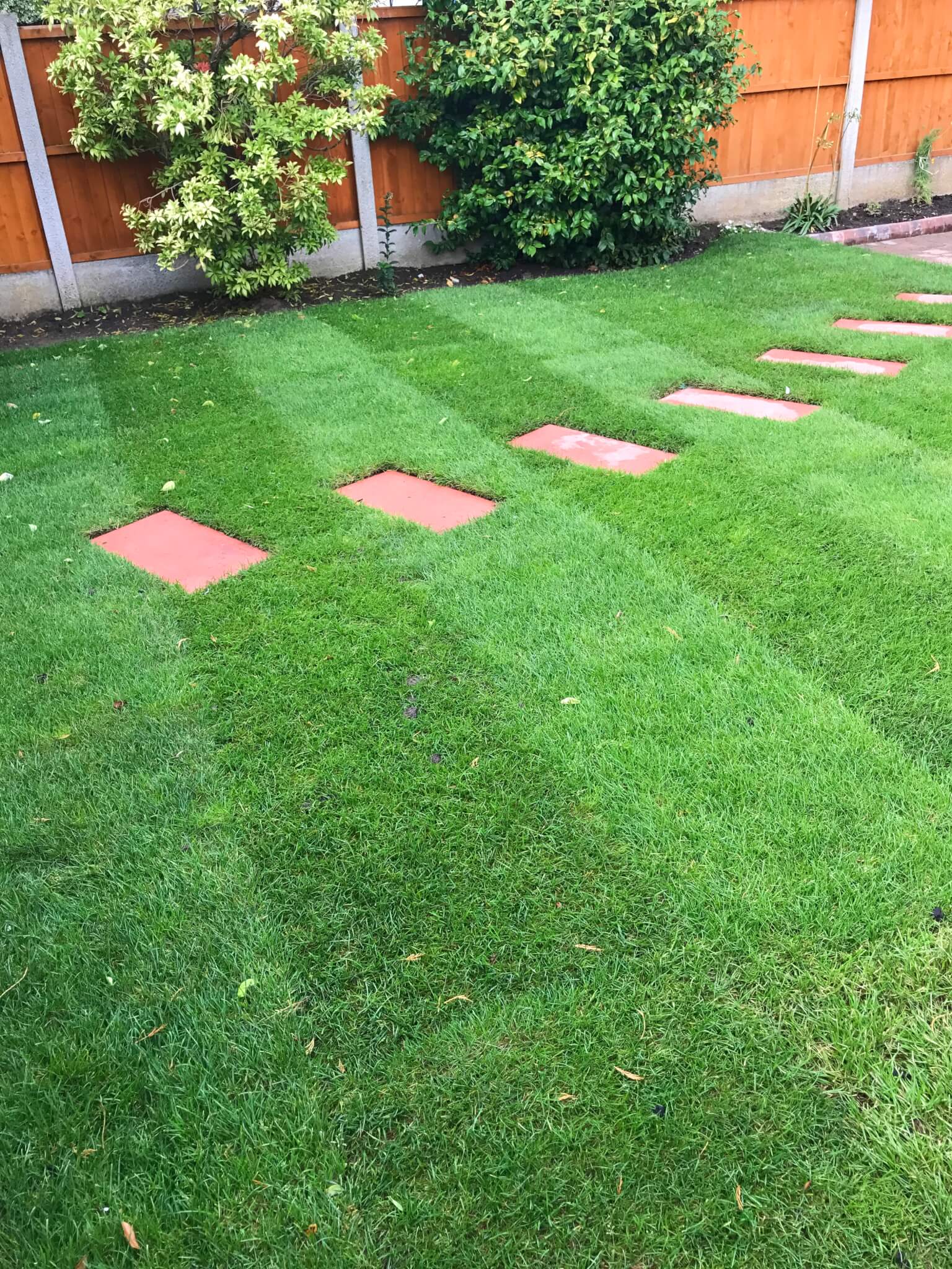 10 Month Lawn Care Guide Liverpool | Abel LandscapesAbel Landscapes